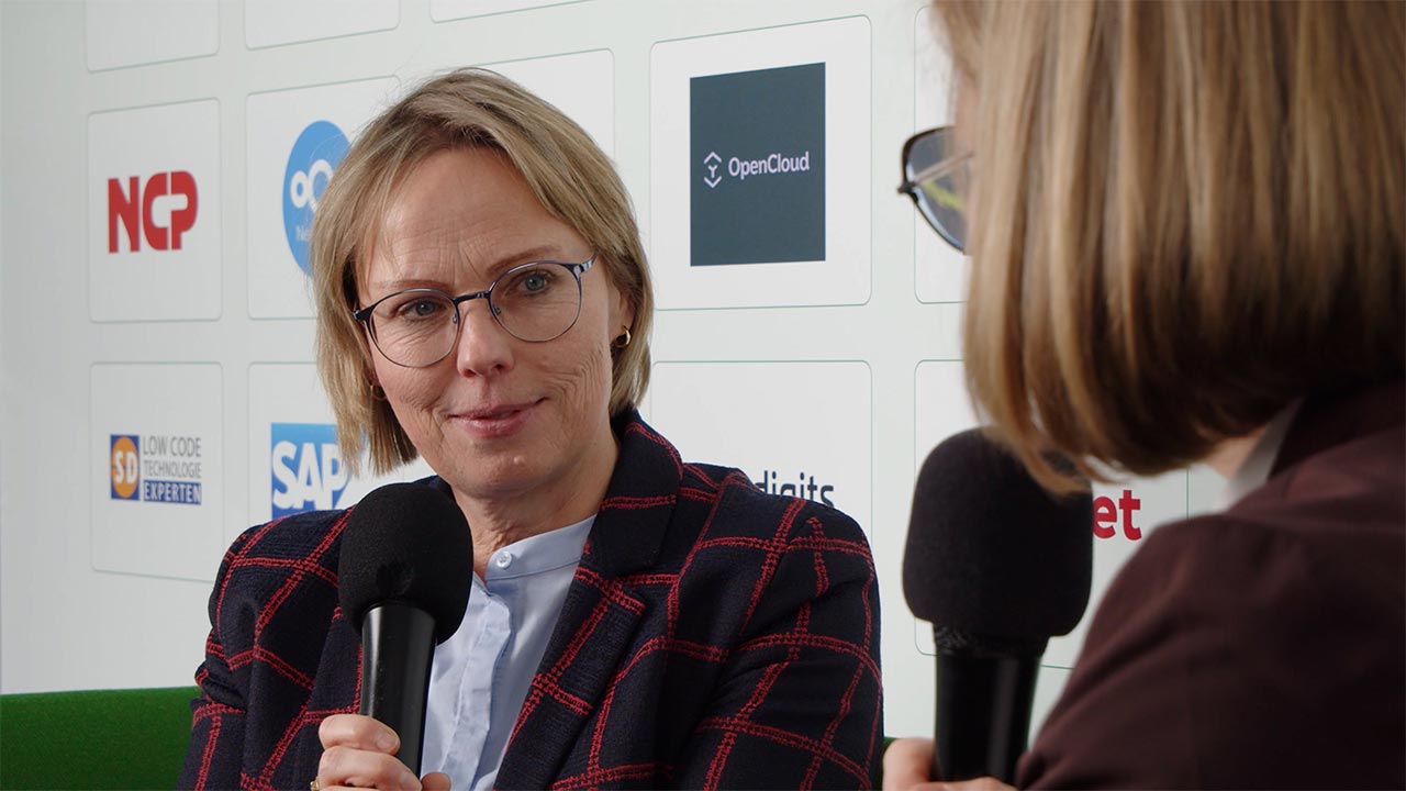 Digitale Zusammenarbeit | Ina-Maria Ulbrich (CIO MV) - Digitaler Staat ...